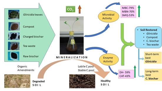 Agronomy | Free Full-Text | Carbon Mineralization Dynamics of Organic ...