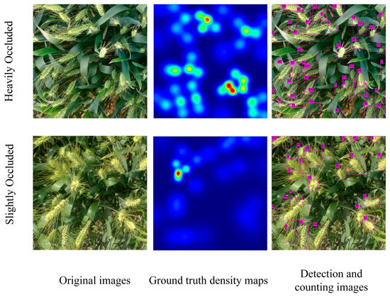 Rapid Detection and Counting of Wheat Ears in the Field Using YOLOv4 with Attention Module