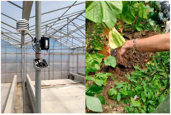 Agronomy | Free Full-Text | Data-Driven Artificial Intelligence Applications for Sustainable ...