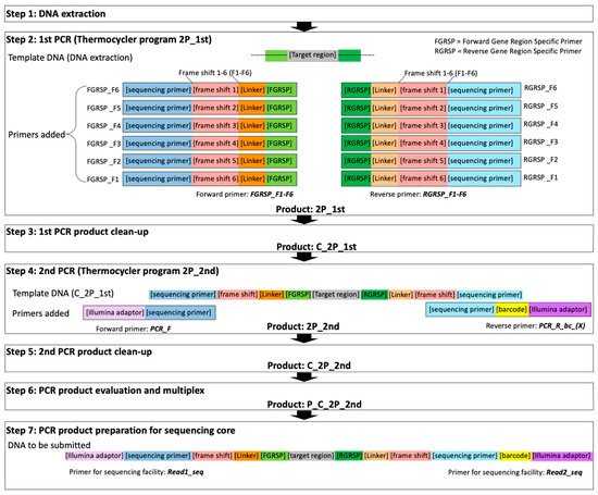 Agronomy | Free Full-Text | A Two-Step PCR Protocol Enabling Flexible ...