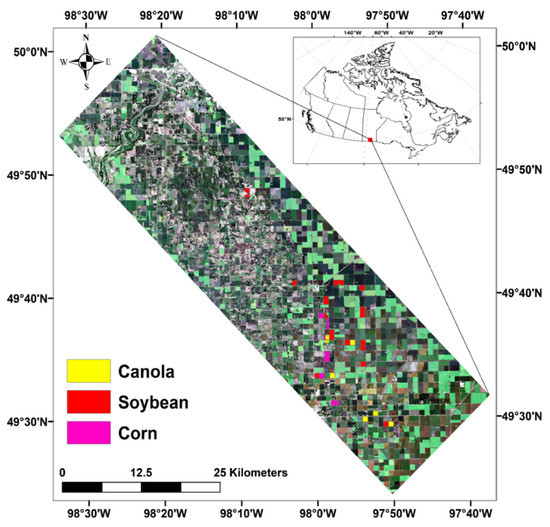 Agronomy | Free Full-Text | Deep Learning-Based Estimation of Crop Biophysical Parameters Using ...
