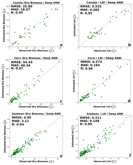 Agronomy | Free Full-Text | Deep Learning-Based Estimation of Crop Biophysical Parameters Using ...