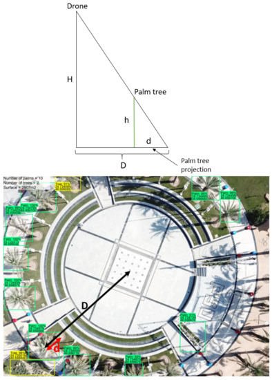Agronomy | Free Full-Text | Deep-Learning-Based Automated Palm Tree ...