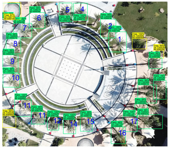 Agronomy | Free Full-Text | Deep-Learning-Based Automated Palm Tree Counting and Geolocation in ...