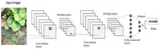 Development of Deep Learning-Based Variable Rate Agrochemical Spraying ...