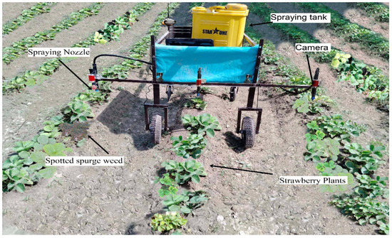 Development of Deep Learning-Based Variable Rate Agrochemical Spraying ...