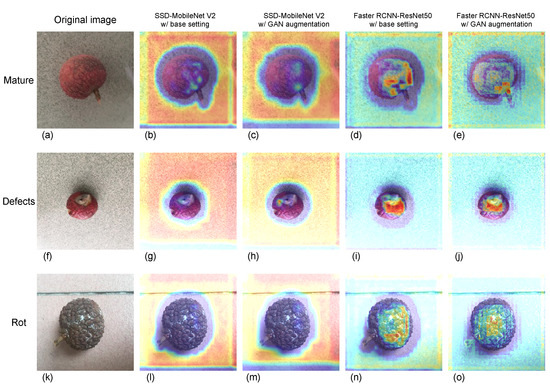 Lychee Surface Defect Detection Based on Deep Convolutional Neural Networks with GAN-Based Data ...