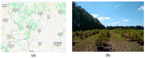 Agronomy | Special Issue : Innovative Technologies in Crop Production ...