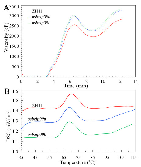 Grain Quality and Starch Physicochemical Properties of Chalky Rice Mutant