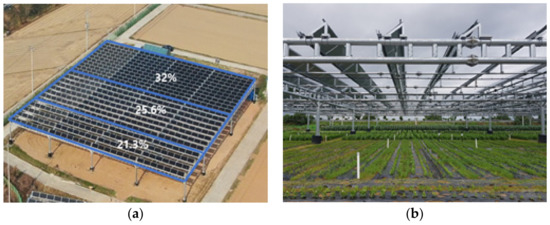 An Efficient Structure of an Agrophotovoltaic System in a Temperate ...