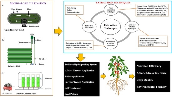 Agronomy | Free Full-Text | “Beyond the Source of Bioenergy ...