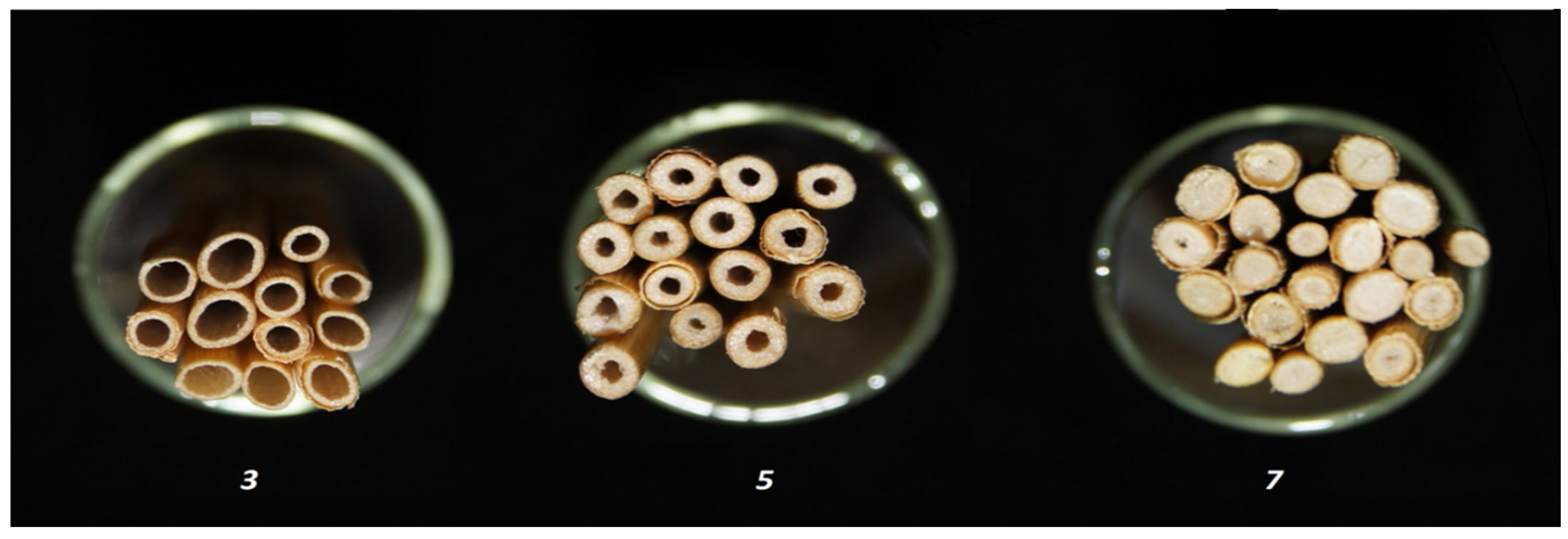 Estimation of Stem-Solidness and Yield Components in Selected Spring ...
