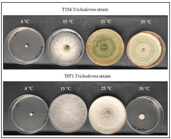 The Influence of Temperature on the Growth, Sporulation, Colonization, and Survival of ...