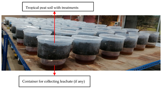 Mitigating Potassium Leaching from Muriate of Potash in a Tropical Peat ...
