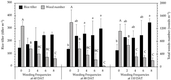 Weeding Frequencies Decreased Rice–Weed Competition and Increased Rice ...