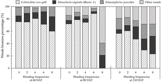 Weeding Frequencies Decreased Rice–Weed Competition and Increased Rice ...
