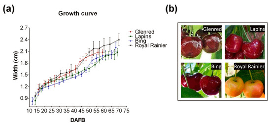 Agronomy | Special Issue : Principles and Practices in Fruit Tree ...