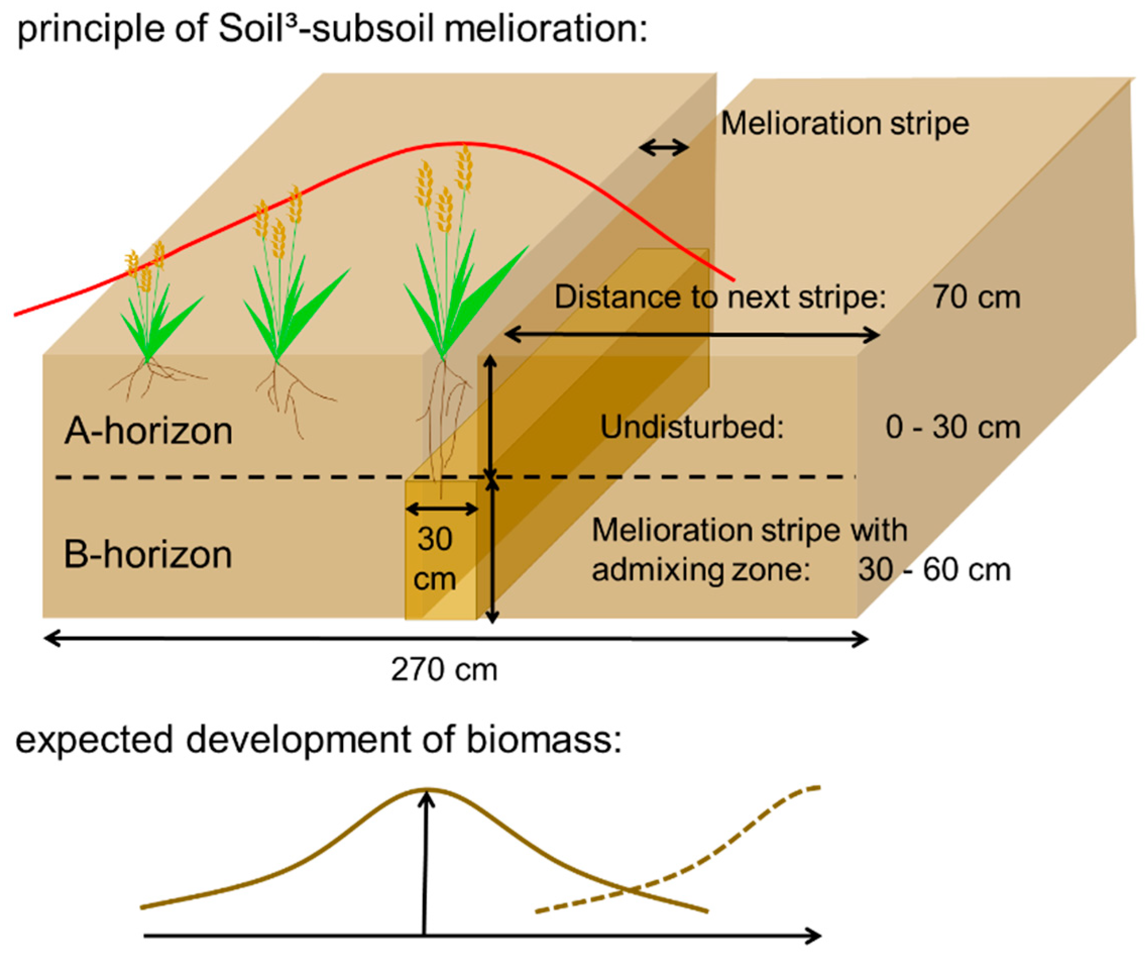 Agronomy | Free Full-Text | Subsoil Melioration with Organic Material ...