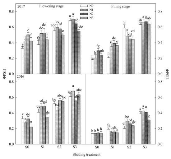Effects of Nitrogen Fertilizer on Photosynthetic Effects of Nitrogen Fertilizer on Photosynthetic