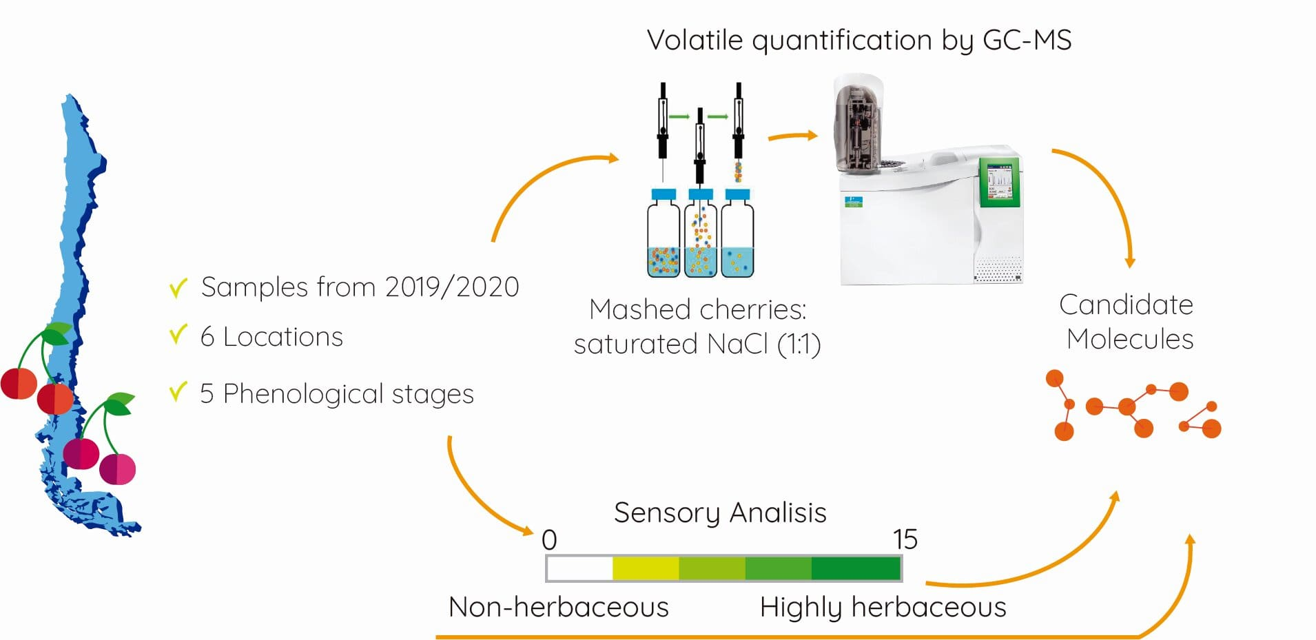 Agronomy | Free Full-Text | Aroma Compounds Are Responsible for an ...