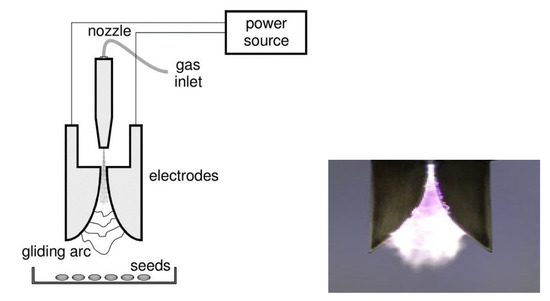 Gliding Arc Plasma Treatment of Maize (Zea mays L.) Grains Promotes ...