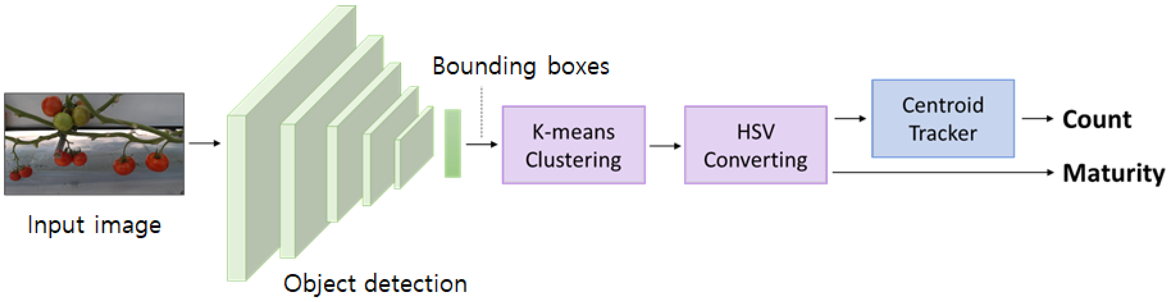 Development of Monitoring Robot System for Tomato Fruits in Hydroponic ...