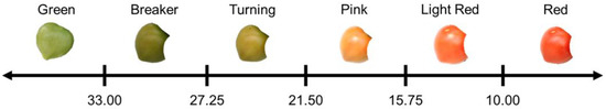 Development of Monitoring Robot System for Tomato Fruits in Hydroponic ...
