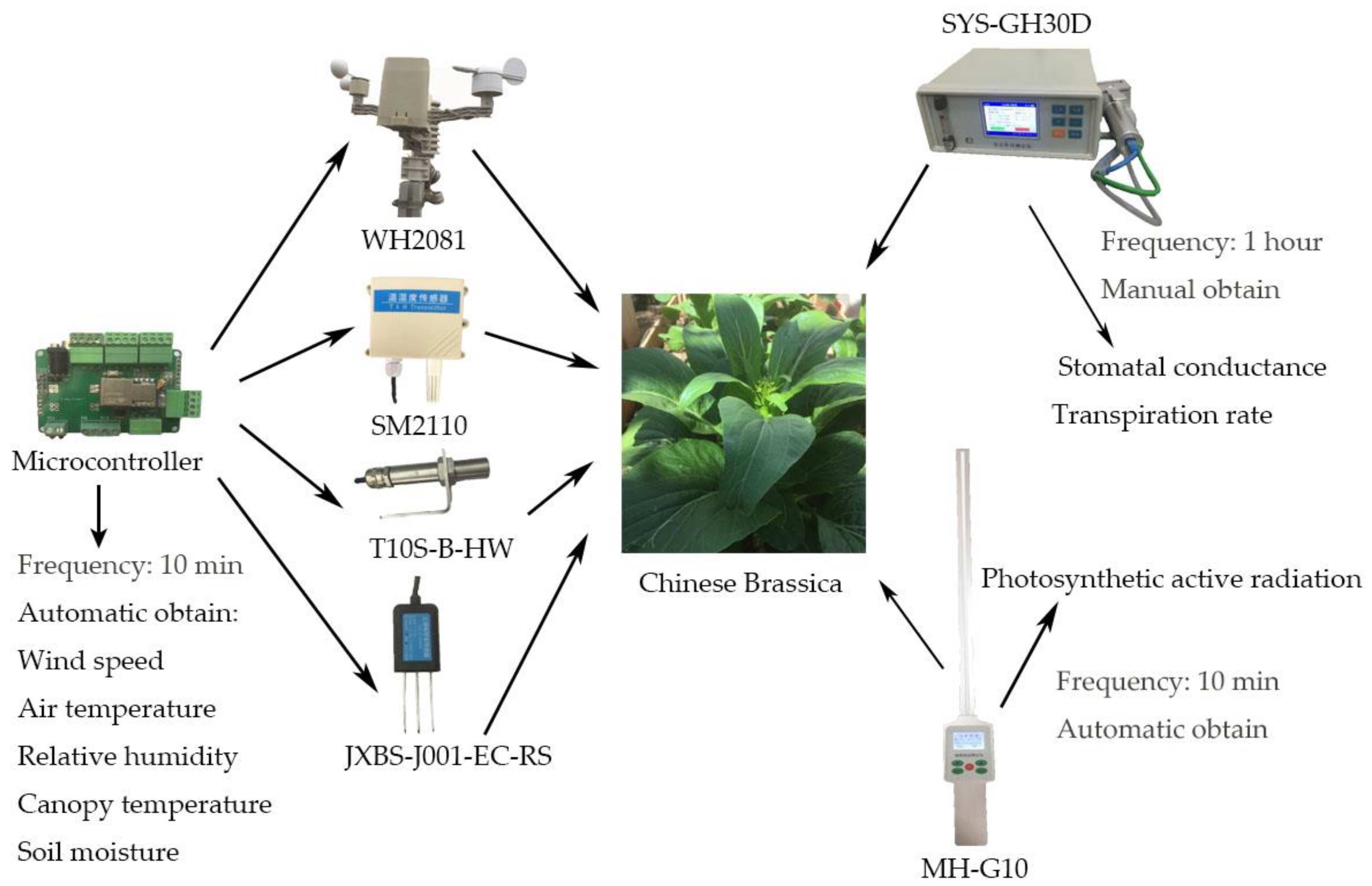 Simulating Canopy Temperature Using a Random Forest Model to Calculate ...