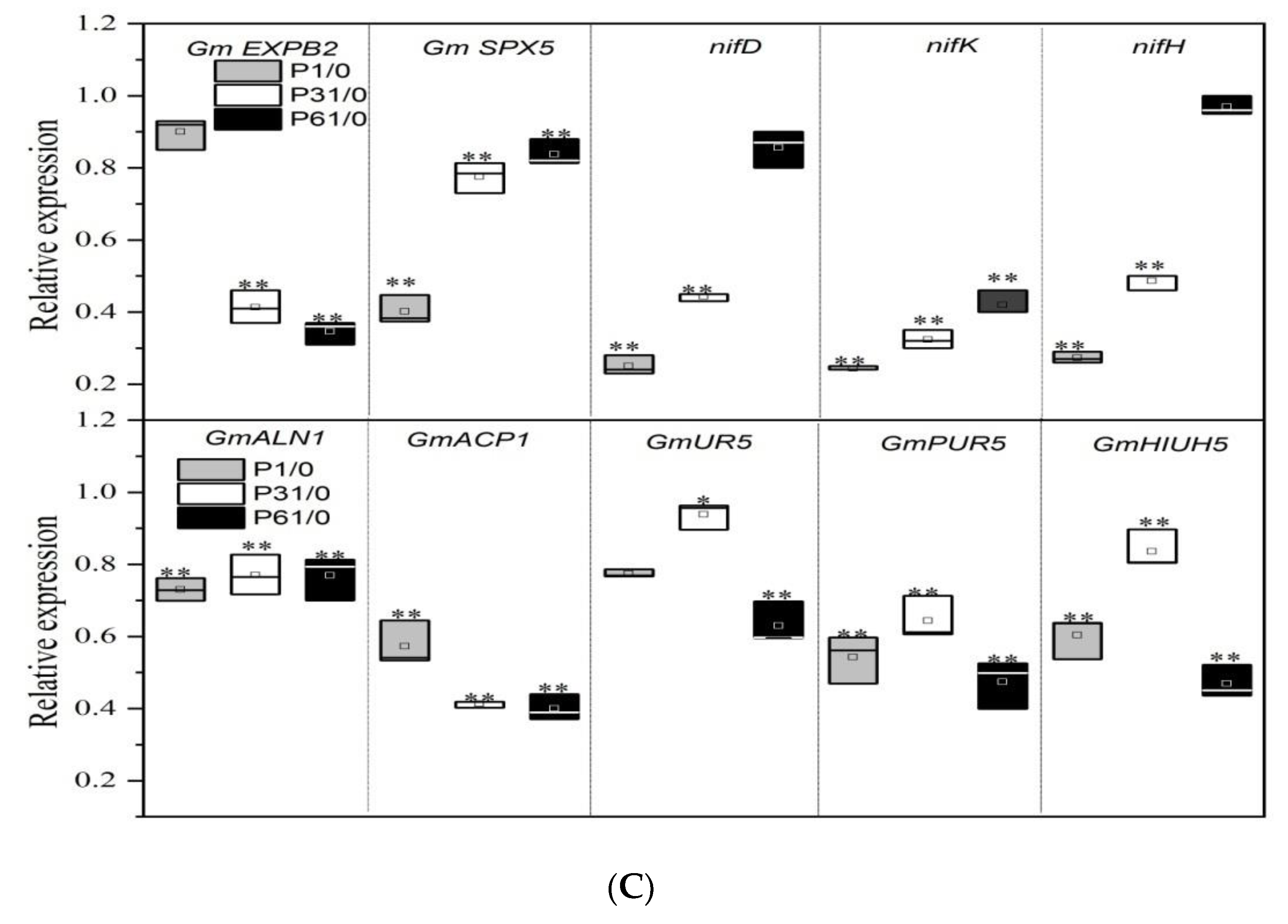 Regulation of Phosphorus Supply on Nodulation and Nitrogen Fixation in ...
