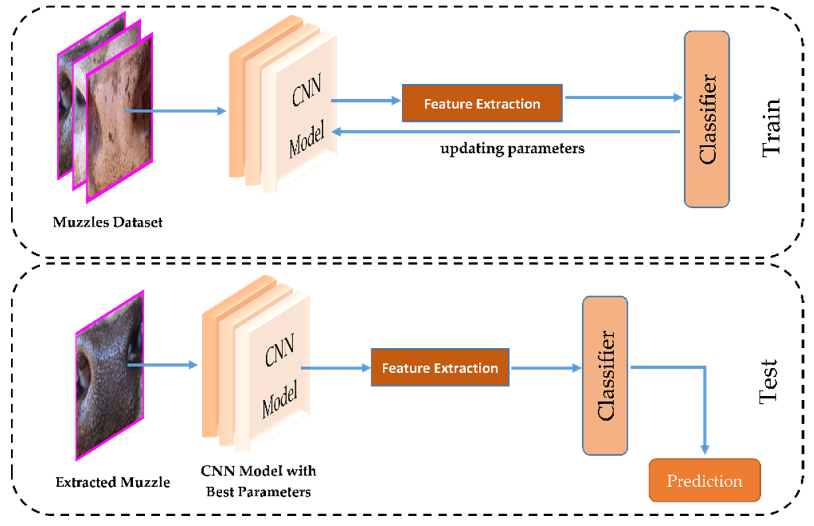 Automated Muzzle Detection and Biometric Identification via Few-Shot ...