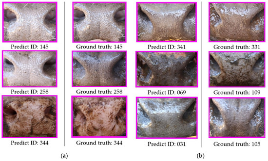 Automated Muzzle Detection and Biometric Identification via Few-Shot ...