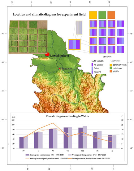 Potential of Sunflower-Legume Intercropping: A Way Forward in ...