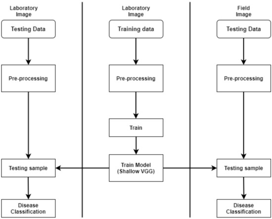Agronomy | Free Full-Text | Plant Disease Identification Using Shallow ...
