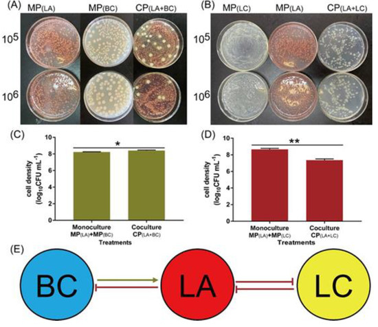 Unraveling the Association between Metabolic Changes in Inter-Genus and ...