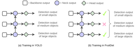 FruitDet: Attentive Feature Aggregation for Real-Time Fruit Detection ...