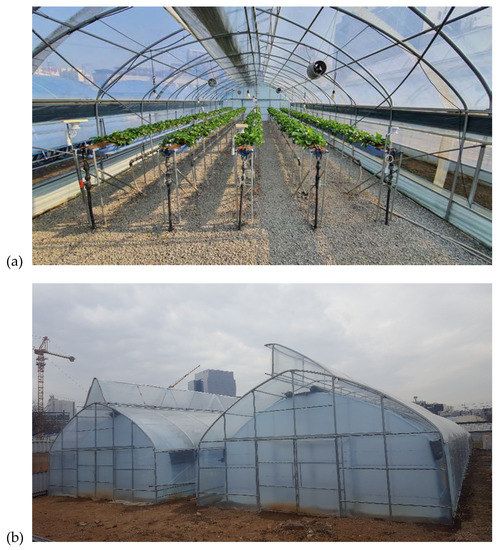 Effect of Greenhouse Cladding Materials and Thermal Screen ...