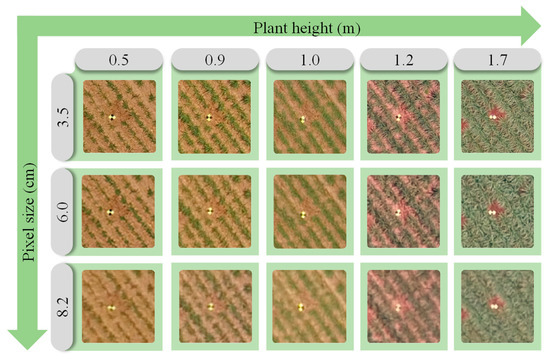 Mapping Gaps in Sugarcane by UAV RGB Imagery: The Lower and Earlier the Flight, the More Accurate
