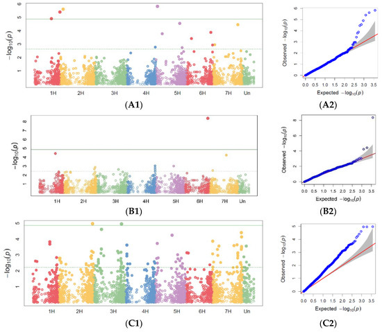 Genome-Wide Association Study for Powdery Mildew and Rusts Adult Plant ...