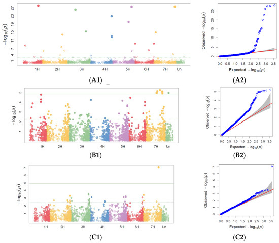 Genome-Wide Association Study for Powdery Mildew and Rusts Adult Plant ...