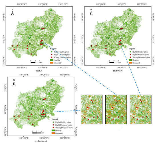 Recognition of Areca Leaf Yellow Disease Based on PlanetScope Satellite ...
