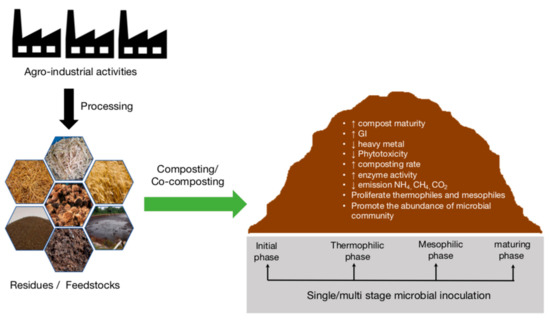 Enhancement of Agro-Industrial Waste Composting Process via the ...