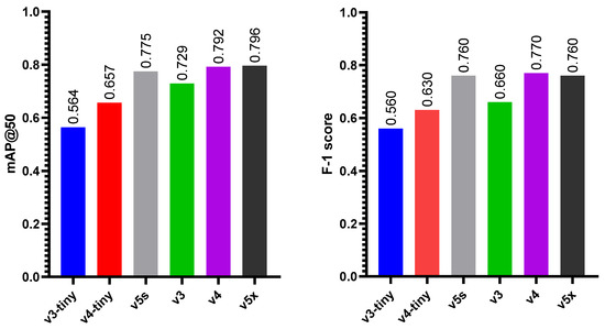 Automatic Bunch Detection in White Grape Varieties Using YOLOv3, YOLOv4, and YOLOv5 Deep ...