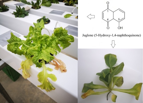Agronomy | Free Full-Text | Using HPLC–MS/MS to Assess the Quality of ...