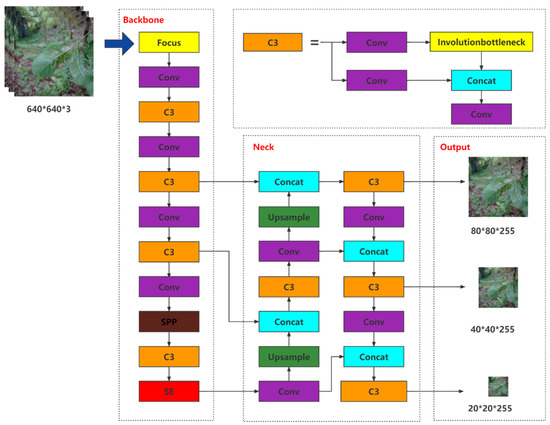 Plant Disease Recognition Model Based on Improved YOLOv5