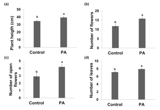 Pseudozyma aphidis Enhances Cucumber and Tomato Plant Growth and Yield