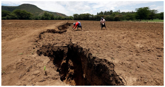 Improving Crop Productivity and Ensuring Food Security through the ...