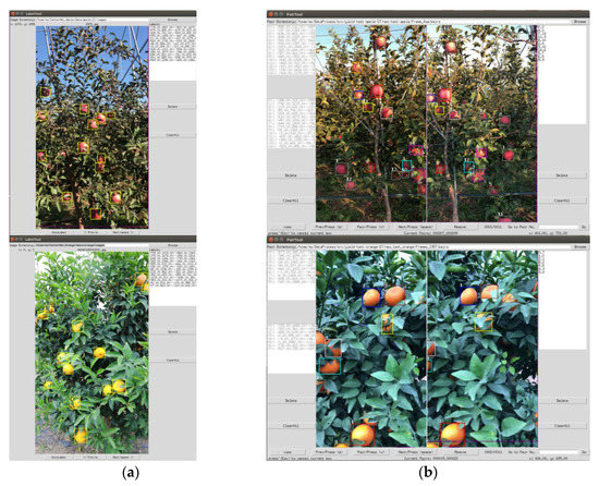 Culling Double Counting in Sequence Images for Fruit Yield Estimation