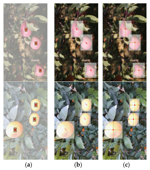 Culling Double Counting in Sequence Images for Fruit Yield Estimation