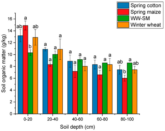 Long-Term Impacts of Different Cropping Patterns on Soil Physico ...