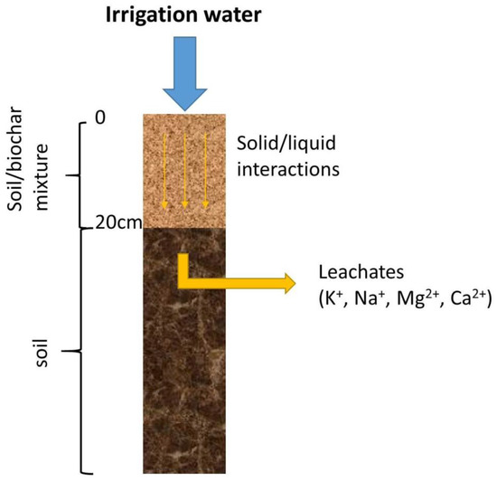Agronomy | Free Full-Text | Geochemical Modelling of Inorganic ...
